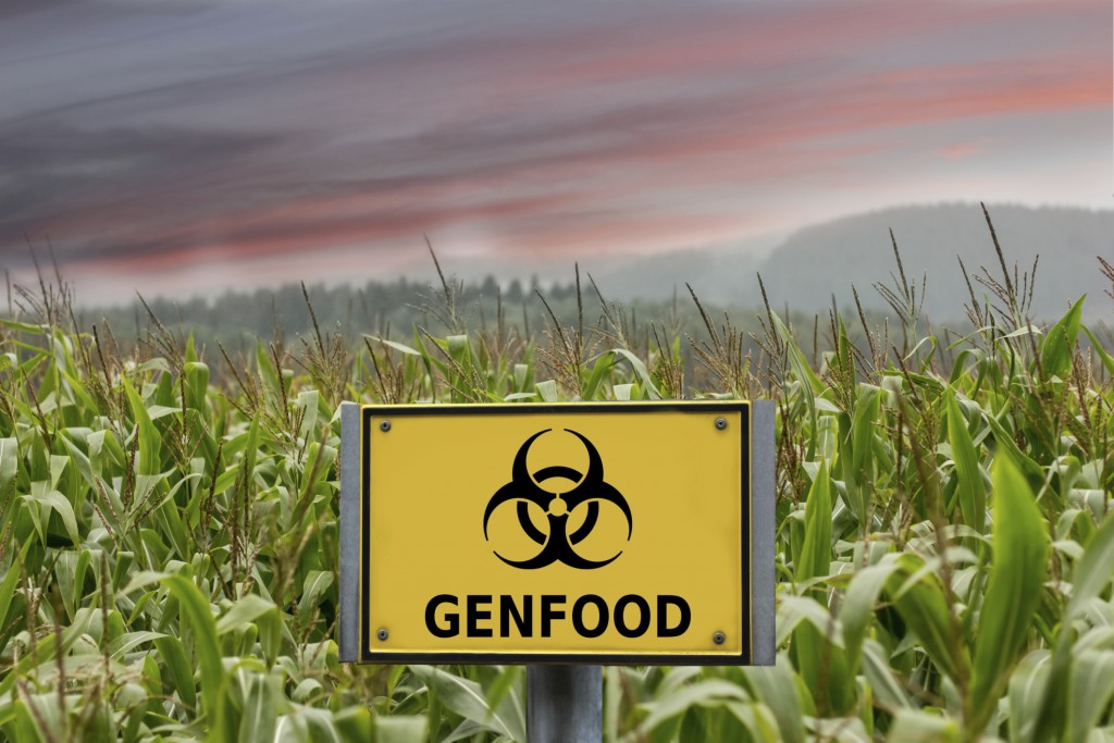 What's the Deal with GMOs and are they Safe?